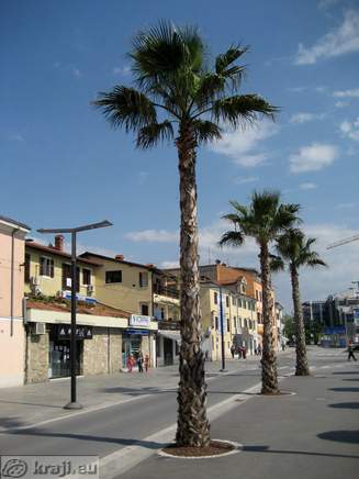 Koper - Pristaniška ulica [Fotografije] | KRAJI - Slovenija